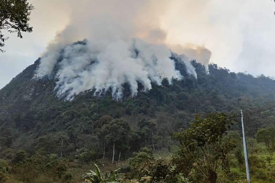 Incendies en Colombie : 5 départements et 32 municipalités ont déclaré ...